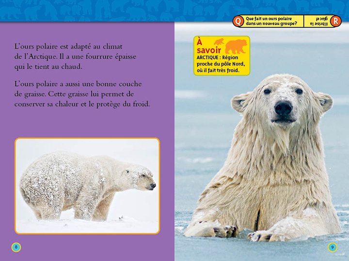 Éditions Scholastic | National Geographic Kids : Les ours polaires ...