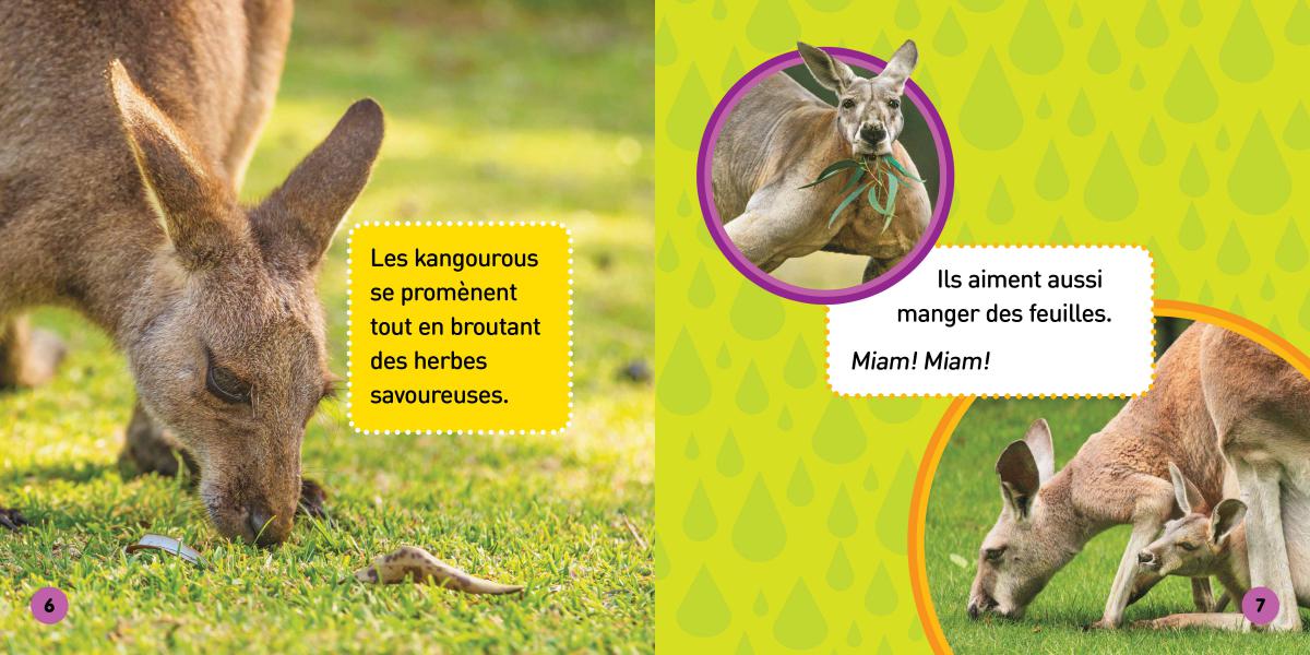 Éditions Scholastic | National Geographic Kids : J’explore le monde ...