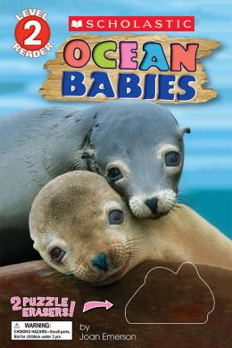 Scholastic Reader, Level 2: Ocean Babies with Erasers | Scholastic Canada