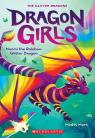Aisha the Sapphire Treasure Dragon (Dragon Girls #5) | Scholastic Canada