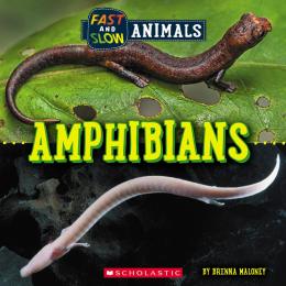 Fast and Slow: Amphibians (Wild World) | Scholastic Canada