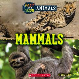Fast and Slow: Mammals (Wild World) | Scholastic Canada