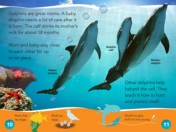 Scholastic Discover More Reader Level 2: Dolphin Dive | Scholastic Canada Scholastic Discover More Reader Level 2: Dolphin Dive | Scholastic Canada