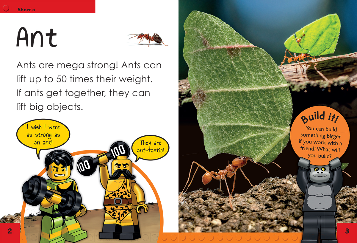 LEGO® Nonfiction: Animals Phonics Box Set | Scholastic Canada