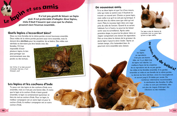 Éditions Scholastic | Info-animaux : Lapins