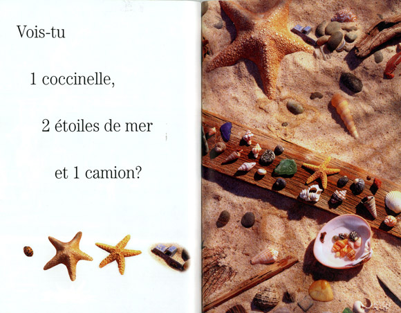 Éditions Scholastic | Vois-tu ce que je vois? Nature