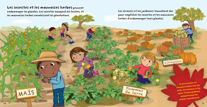 Éditions Scholastic | Vive l'automne! Les récoltes