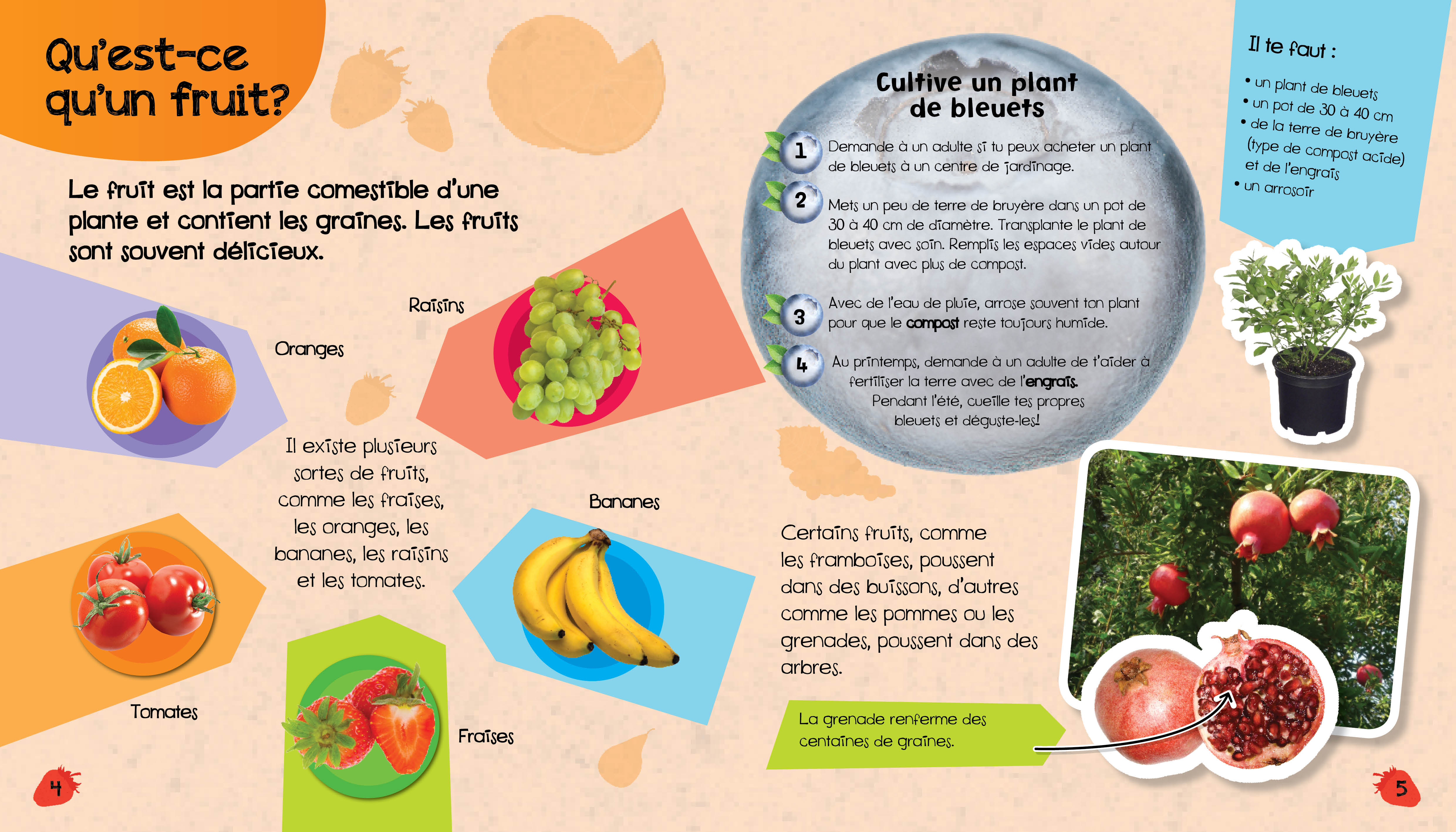 Éditions Scholastic | Bien manger : Fruits