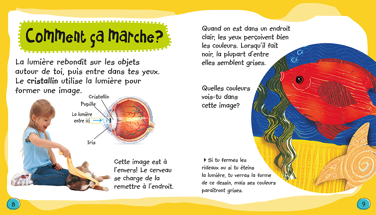 Éditions Scholastic | Mes 5 sens : La vue