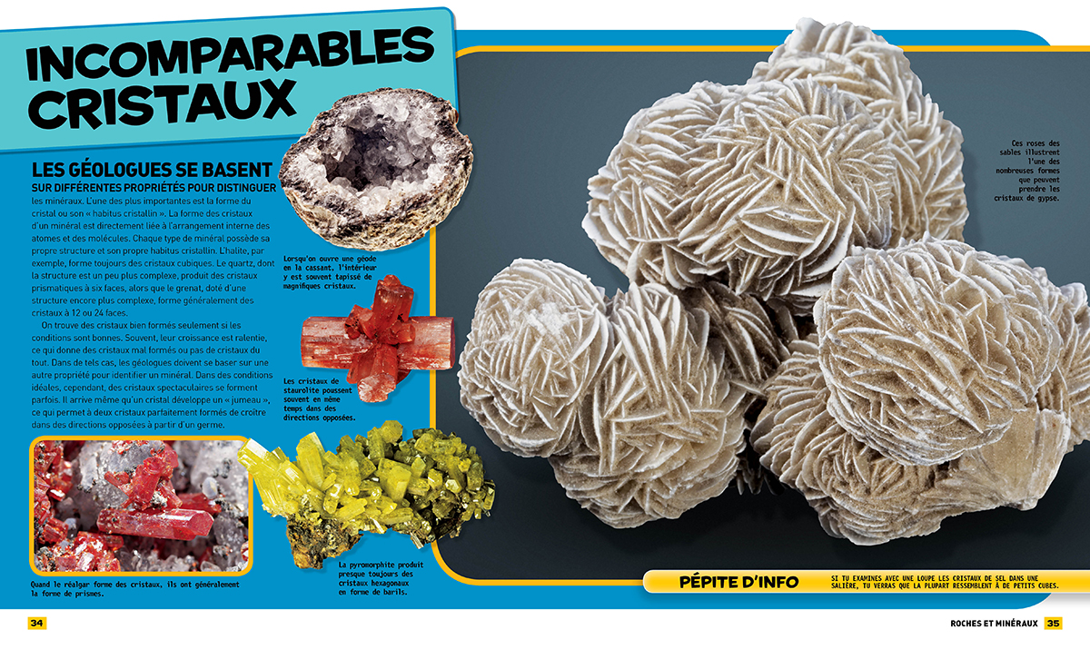 Éditions Scholastic | National Geographic Kids : Absolument tout sur ...