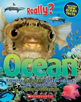 Really? Ocean | Scholastic Canada