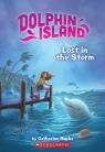 Dolphin School #3: Splash's Secret Friend | Scholastic Canada