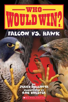 Falcon vs. Hawk (Who Would Win?) | Scholastic Canada