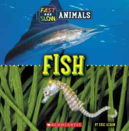 Fast and Slow: Fish (Wild World) | Scholastic Canada