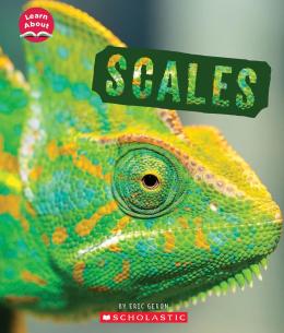 Scales (Learn About: Animal Coverings) | Scholastic Canada