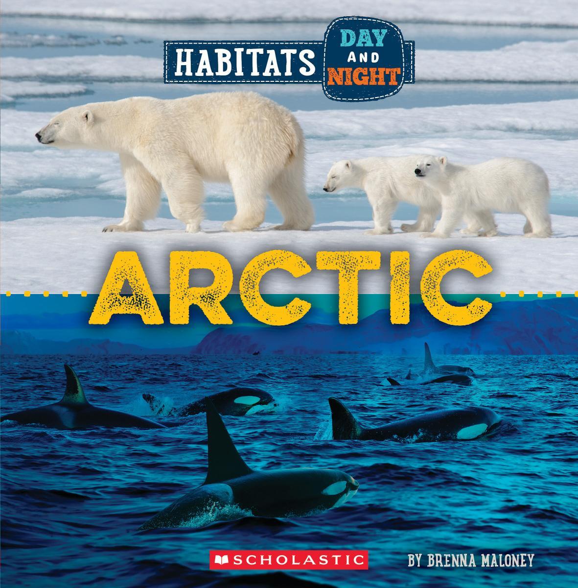 Ocean (Wild World: Habitats Day and Night) | Scholastic Canada