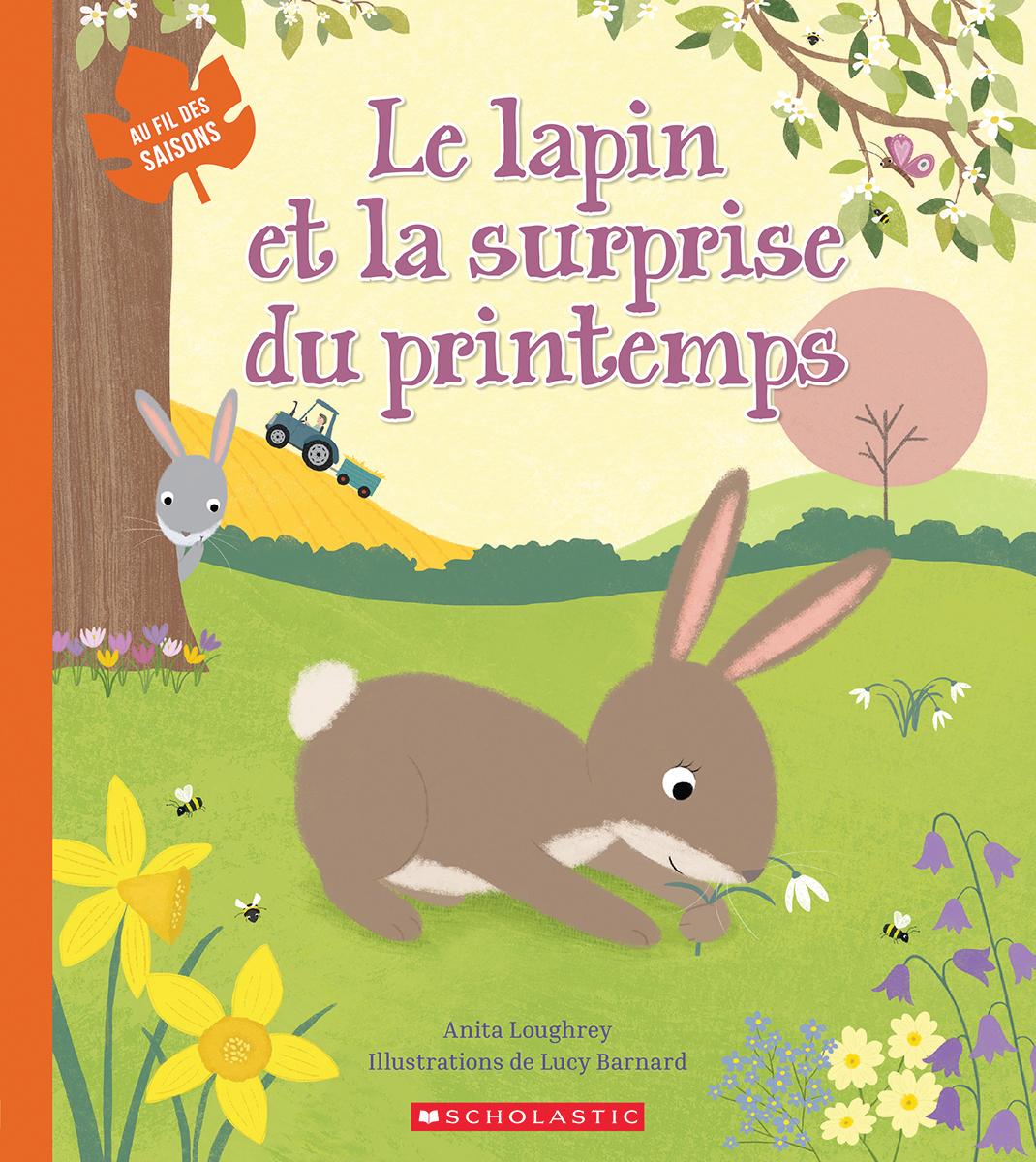 Les saisons des animaux : Le printemps de Martin le lapin | Éditions ...